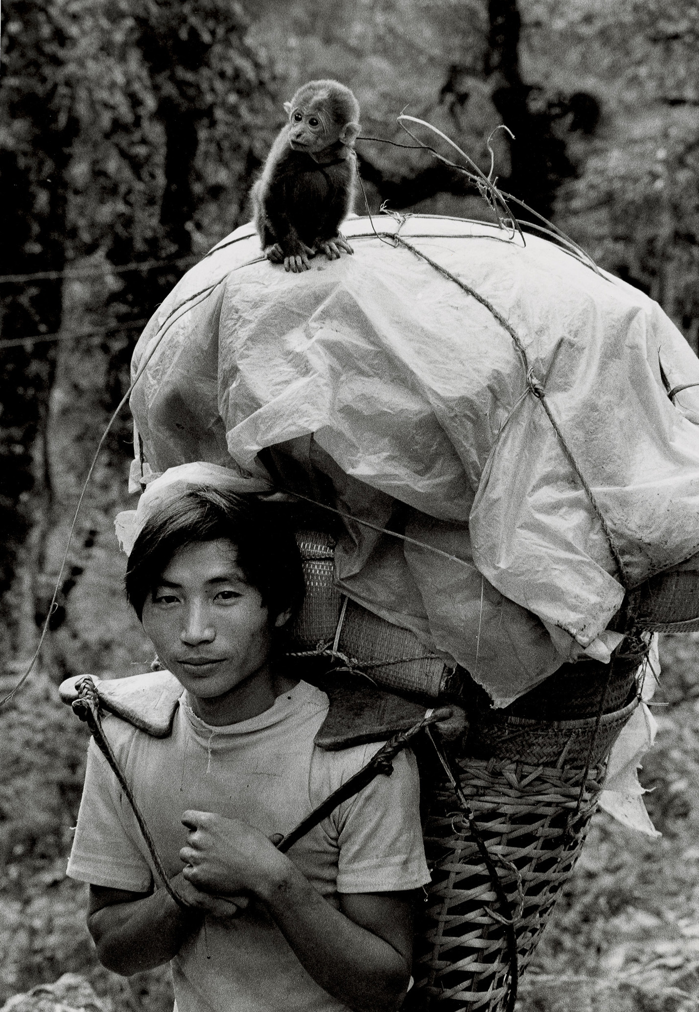 CHOU CHING-HUI – ARTIST – asian contemporary art